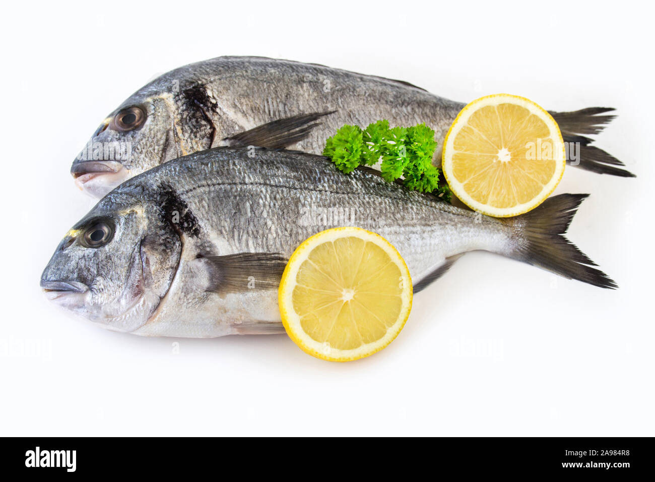 Dorade royale immagini e fotografie stock ad alta risoluzione - Alamy