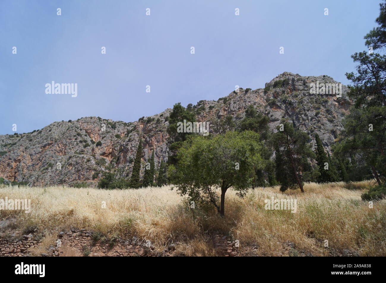 Parnaso di montagna immagini e fotografie stock ad alta risoluzione - Alamy
