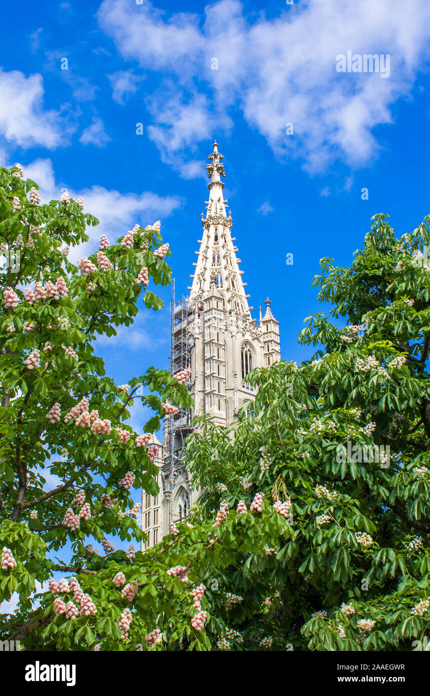 Cattedrale gotica di berna immagini e fotografie stock ad alta ...