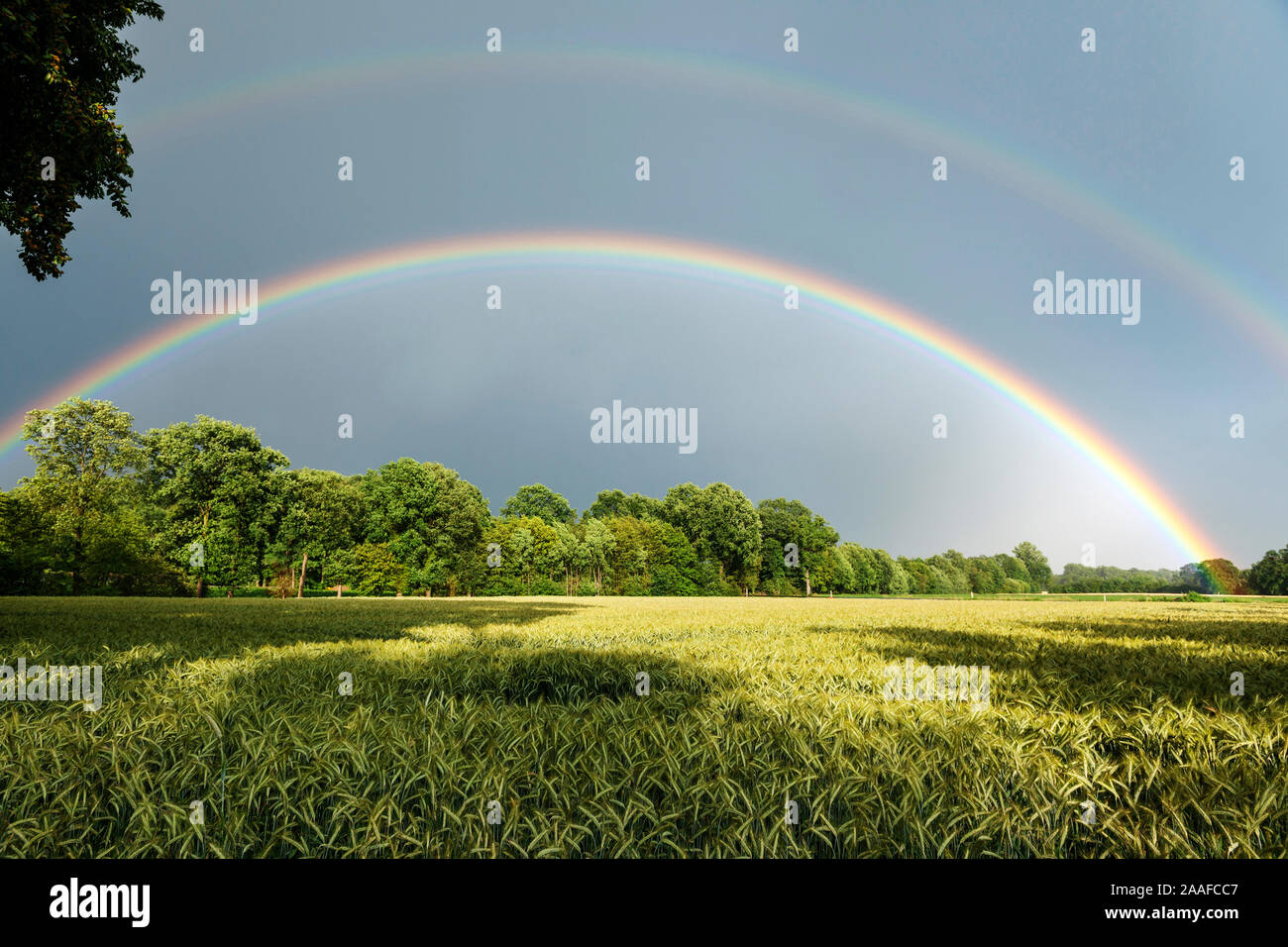 Regenbogen landschaft immagini e fotografie stock ad alta risoluzione ...