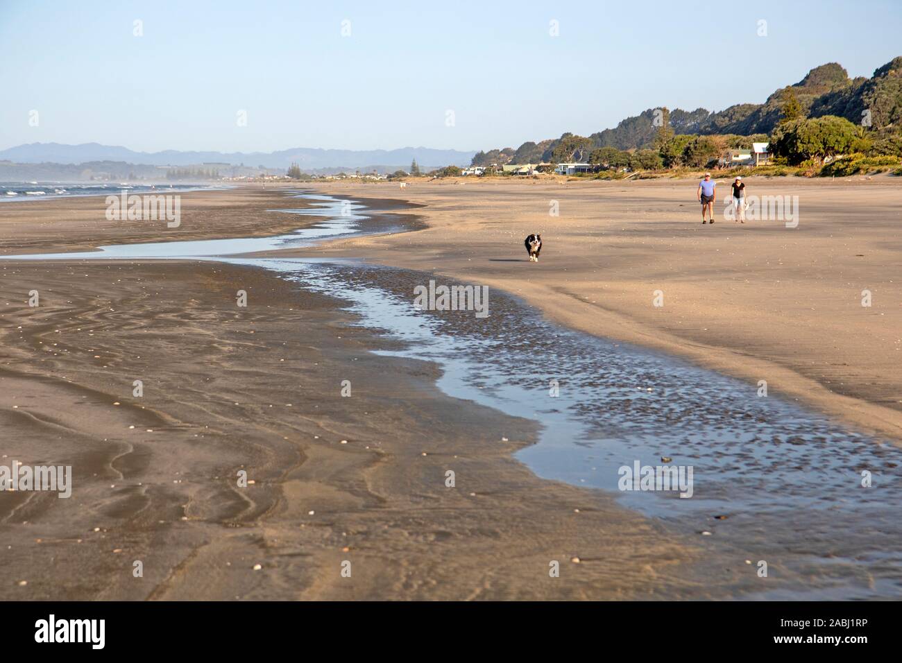 Ohope beach immagini e fotografie stock ad alta risoluzione - Alamy