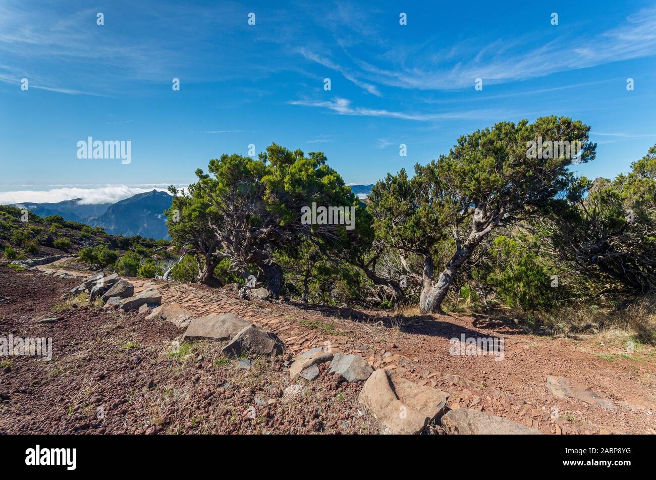 Sentiero escursionistico il passaggio dalla montagna Pico Arieiro a ...