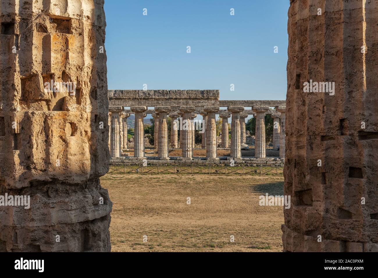 Il Tempio greco di Hera o Basilica, visto dal tempio di Poseidone ...