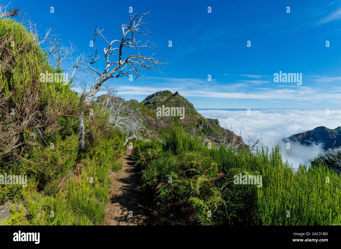 Sentiero escursionistico il passaggio dalla montagna Pico Arieiro a ...