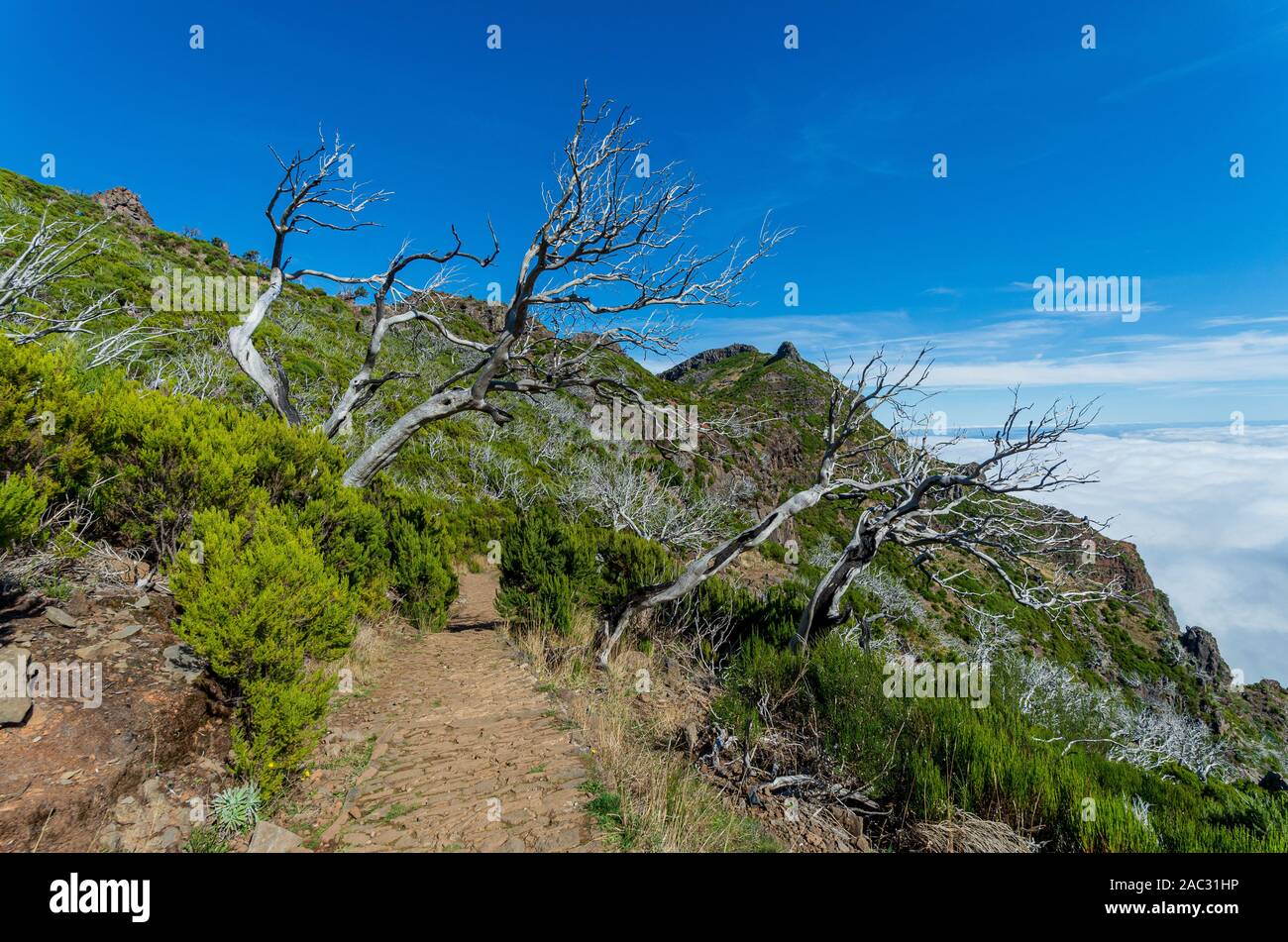 Sentiero escursionistico il passaggio dalla montagna Pico Arieiro a ...