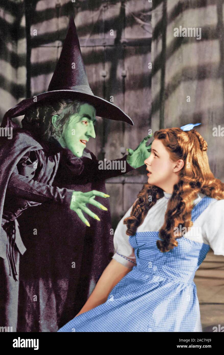 The wizard of oz 1939 margaret hamilton immagini e fotografie stock ad ...