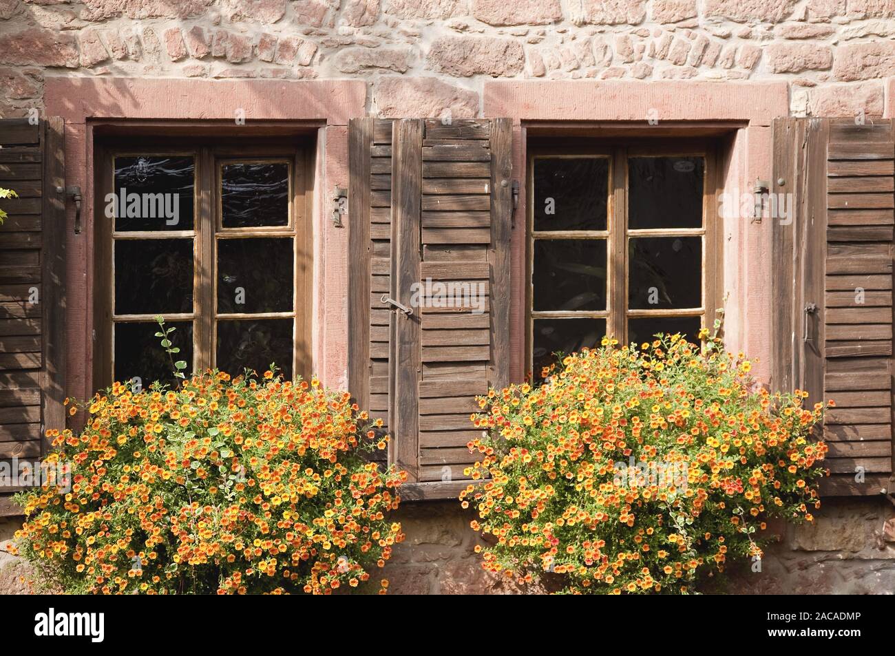 Finestra di fiore immagini e fotografie stock ad alta risoluzione - Alamy