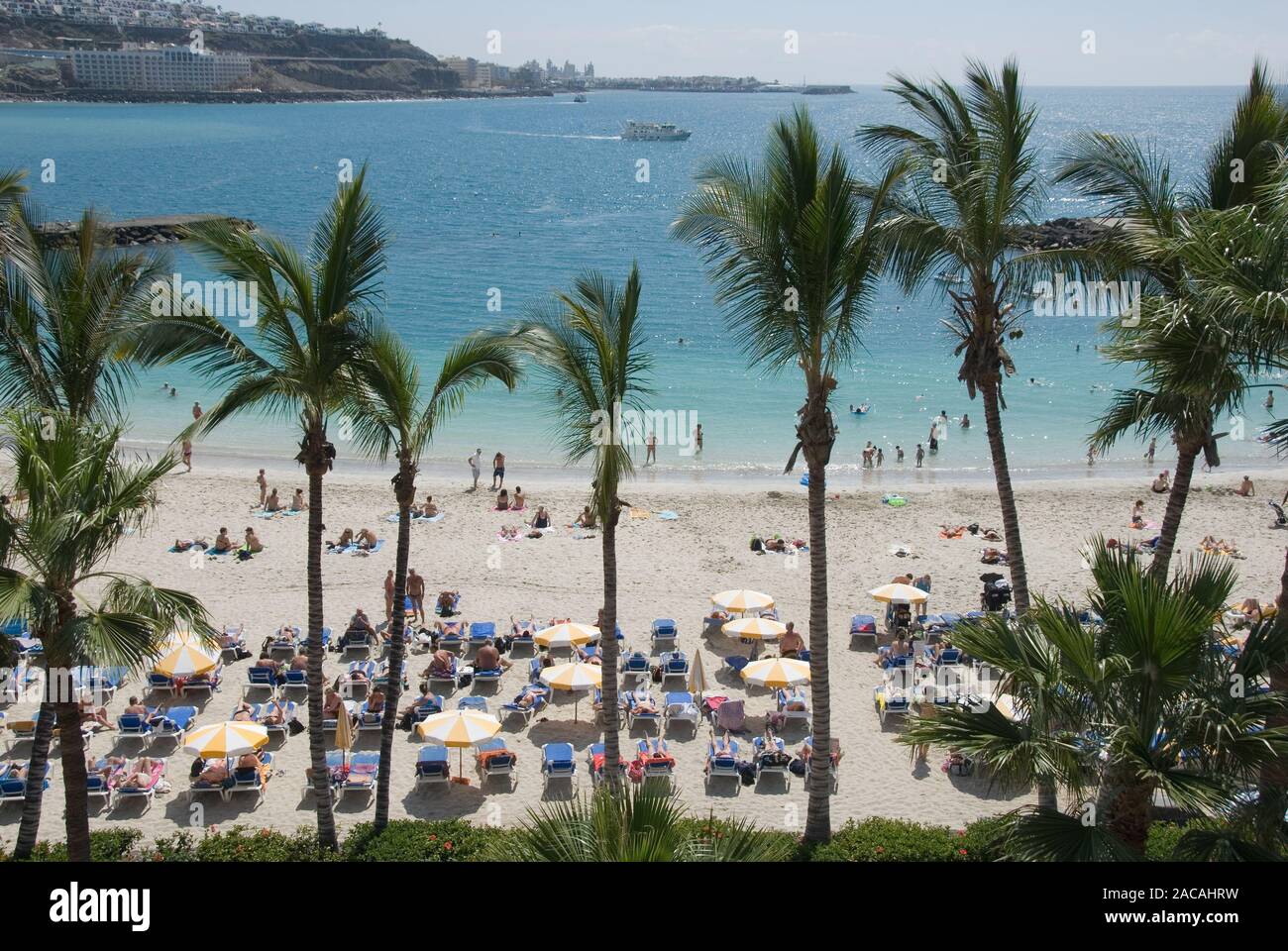 Alberi in riva al mare immagini e fotografie stock ad alta risoluzione ...