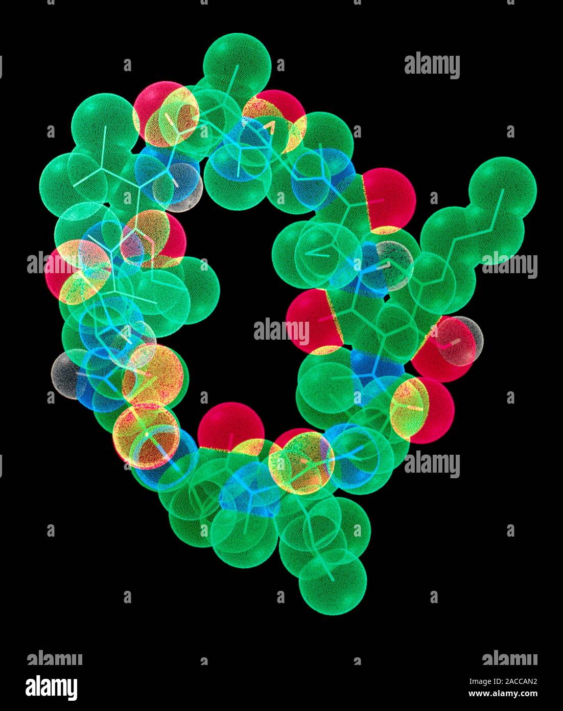 La ciclosporina. Computer grafica che mostra una molecola del farmaco ...
