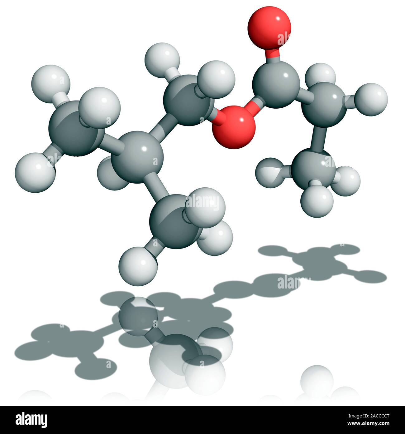 2-metilpropil propanoato. Il modello molecolare di 2-metilpropile ...