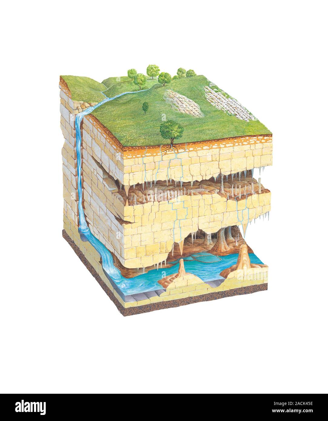 Paesaggio Carsico della geologia. Illustrazione in sezione mostrante le ...