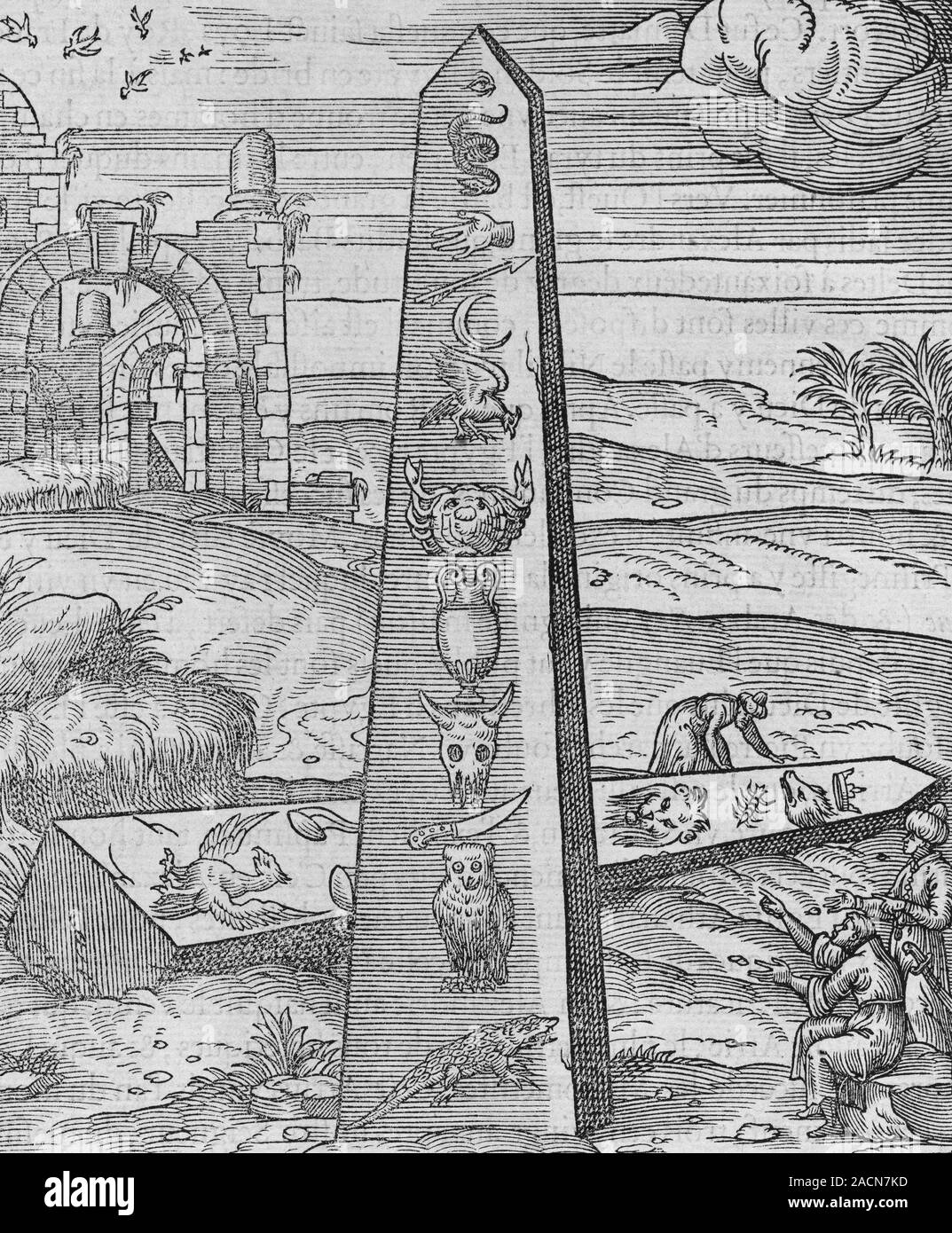Obelischi egiziani. 16esimo secolo illustrazioni di rovine e obelischi ...