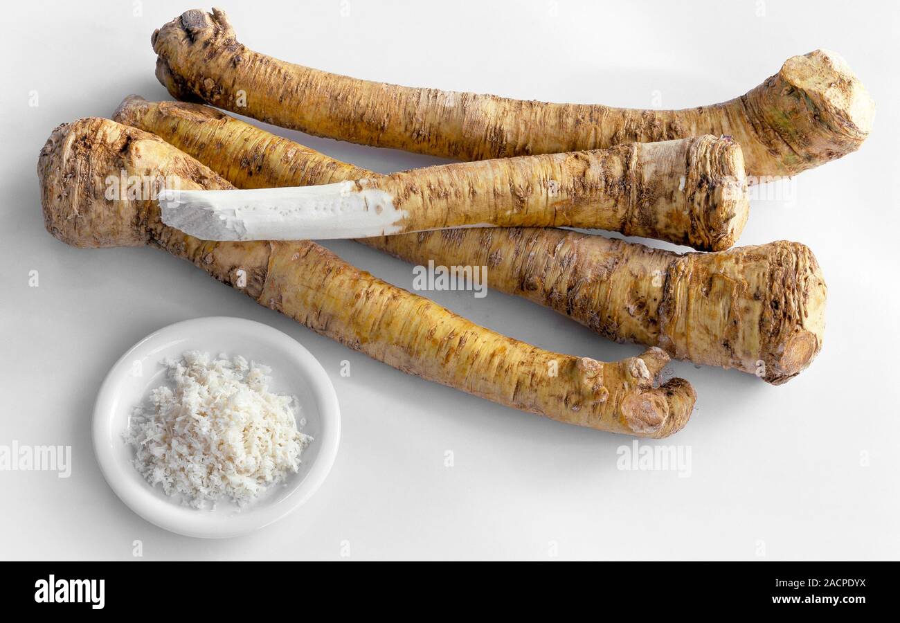 Le radici di rafano e rafano grattugiato. Queste sono le radici della ...