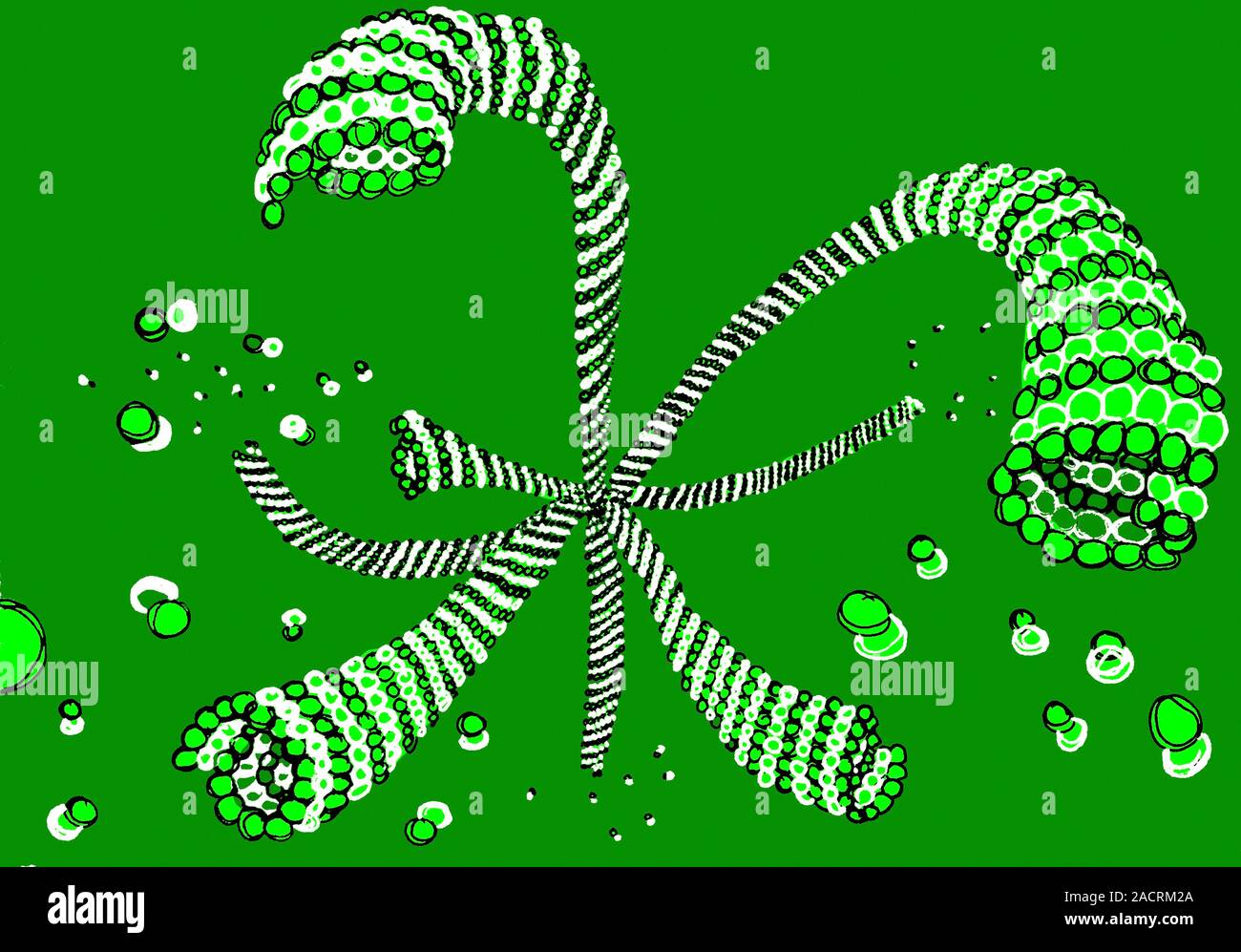 La formazione dei microtuboli, illustrazione. I microtubuli sono ...