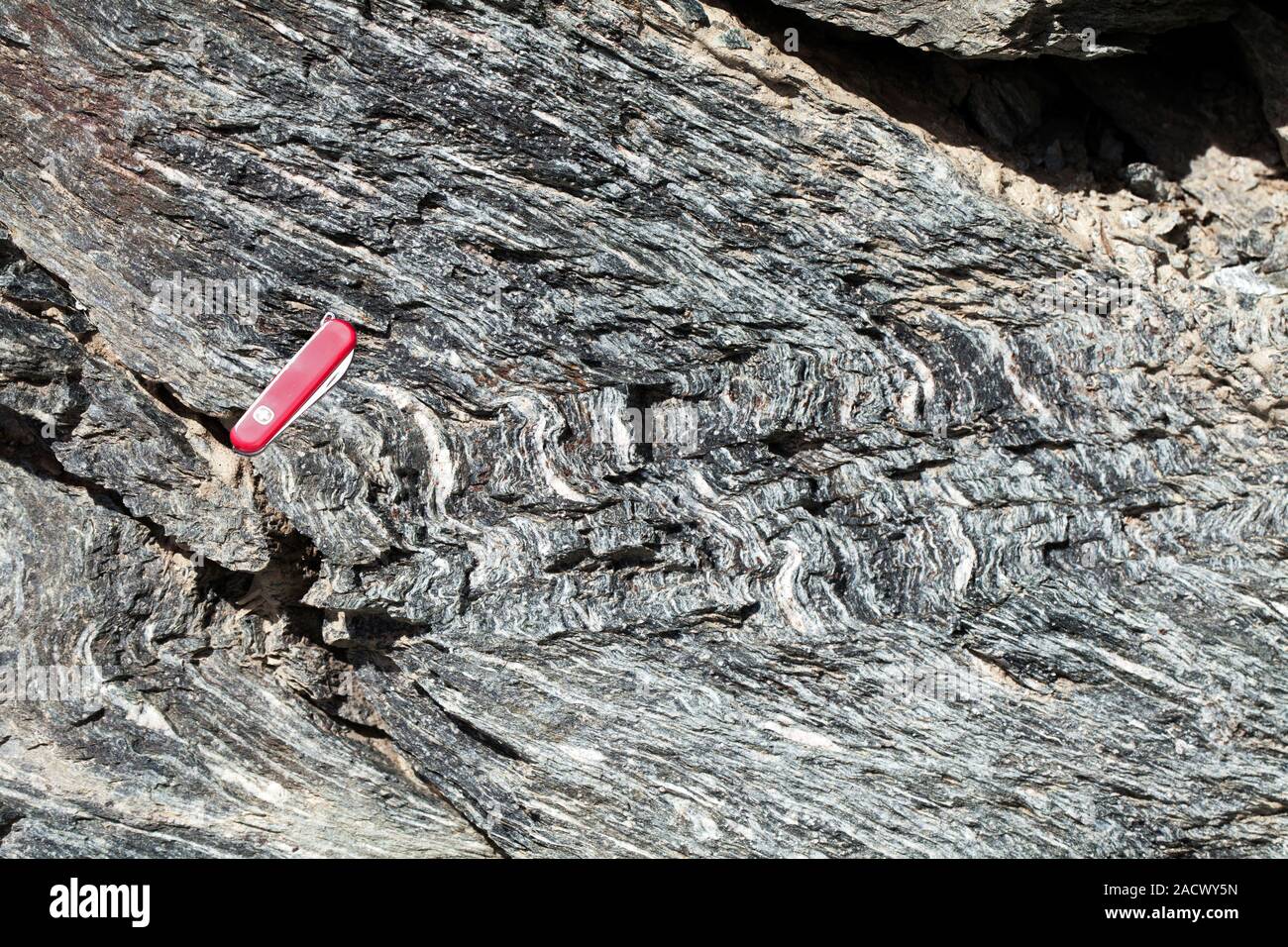 Gneiss rocce metamorfiche. Gneiss è formata quando la roccia ignea (ad ...