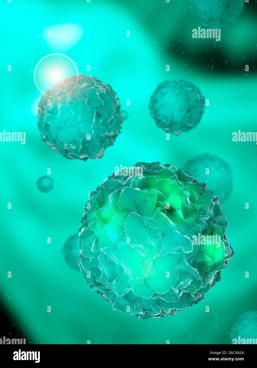Le cellule dendritiche, computer grafica. Le cellule dendritiche, un ...
