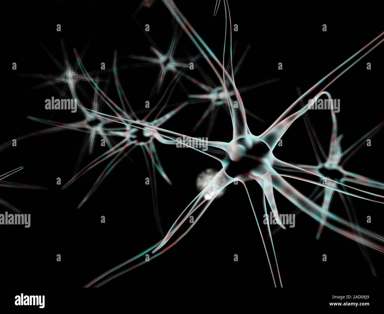 Le cellule nervose, illustrazione. Le cellule nervose, noto anche come ...