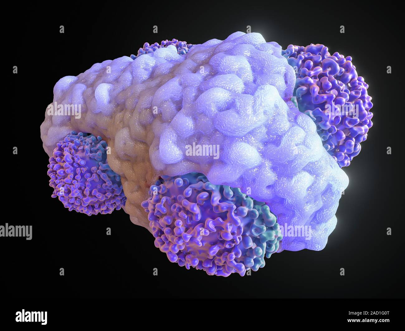 I macrofagi che stanno invadendo le cellule del cancro. 3D computer ...