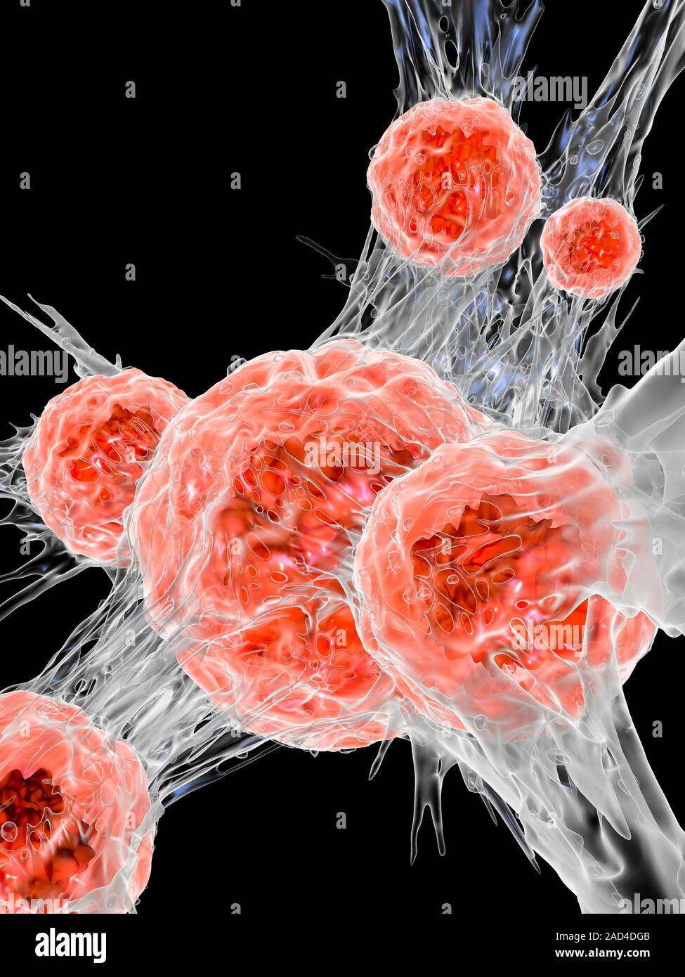 La cellula di cancro. Computer illustrazione delle cellule del cancro ...