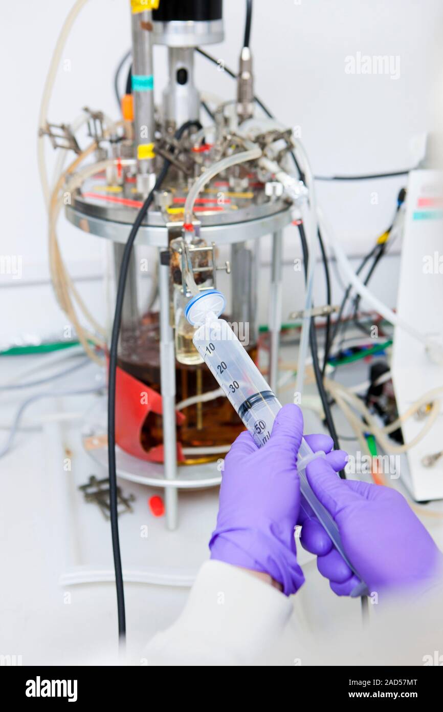 Fermentazione in laboratorio. Ricercatore che lavora con una unità di ...