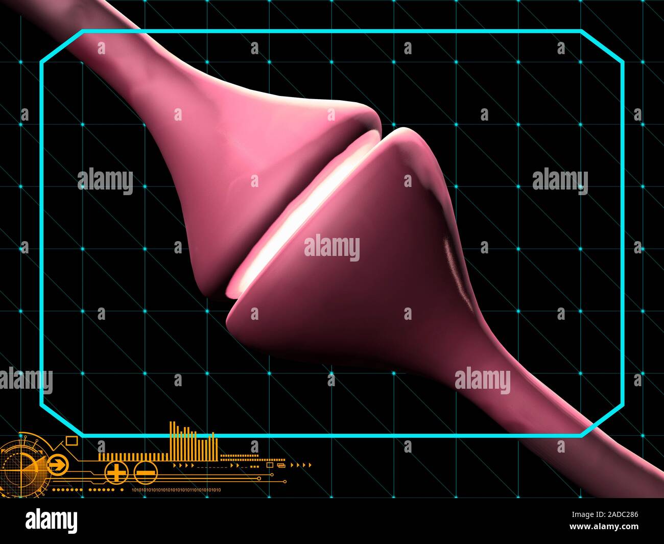 Synapse. Computer illustrazione di una sinapsi, la giunzione tra le ...