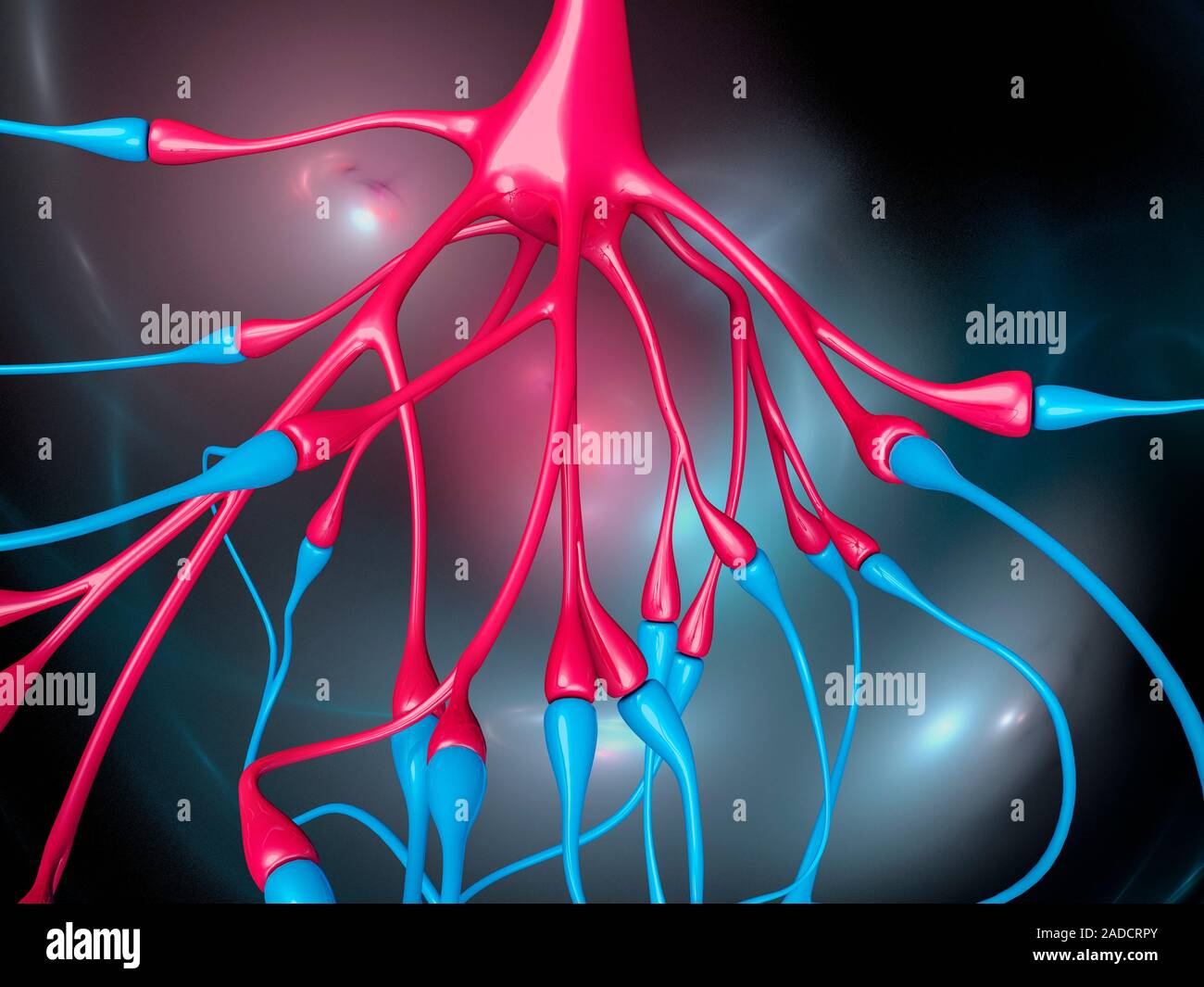 Cellula nervosa con sinapsi. Computer illustrazione di una cellula ...