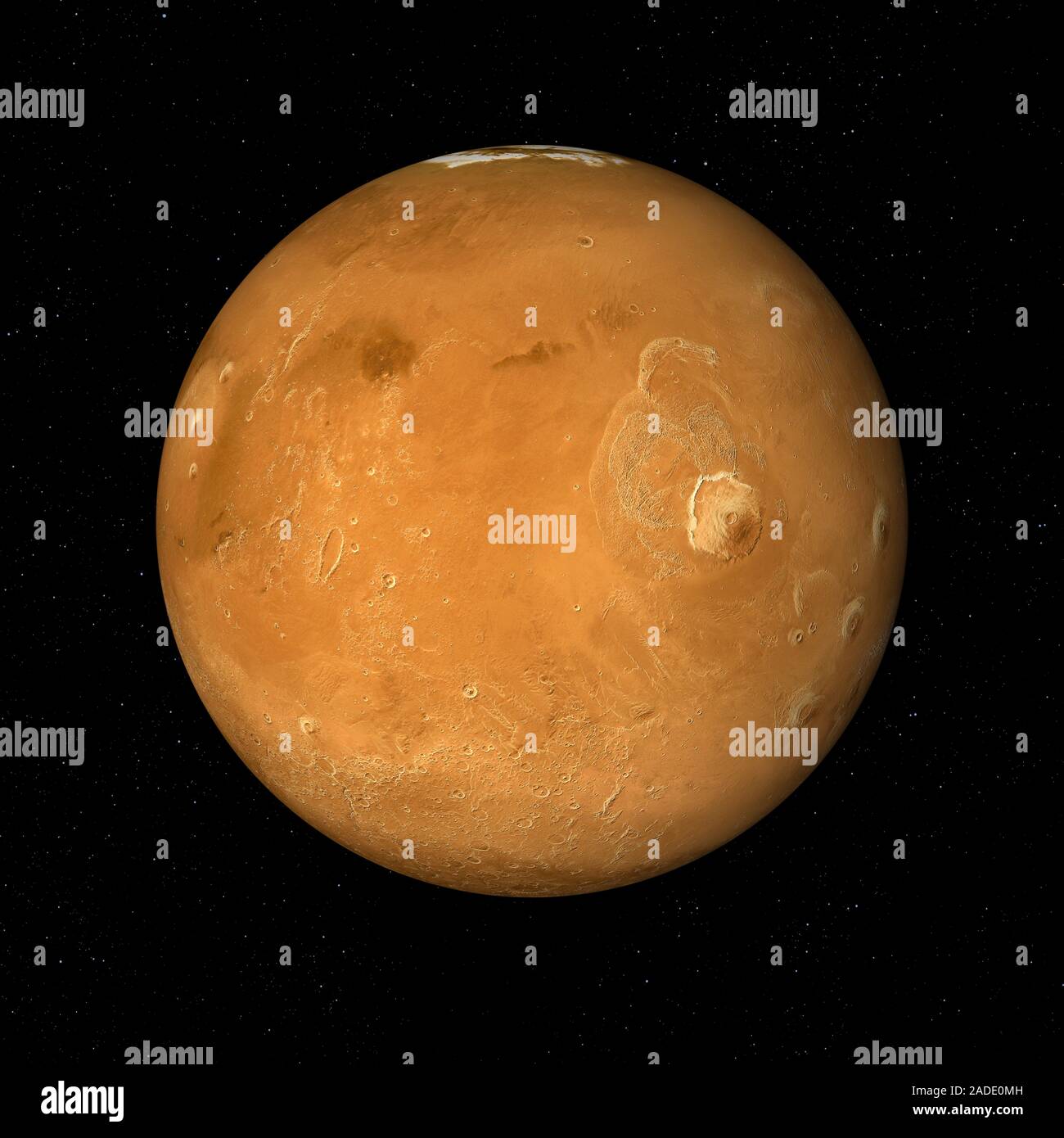 Il Monte Olimpo e Amazonis Planitia, Marte, illustrazione. Marte è il ...