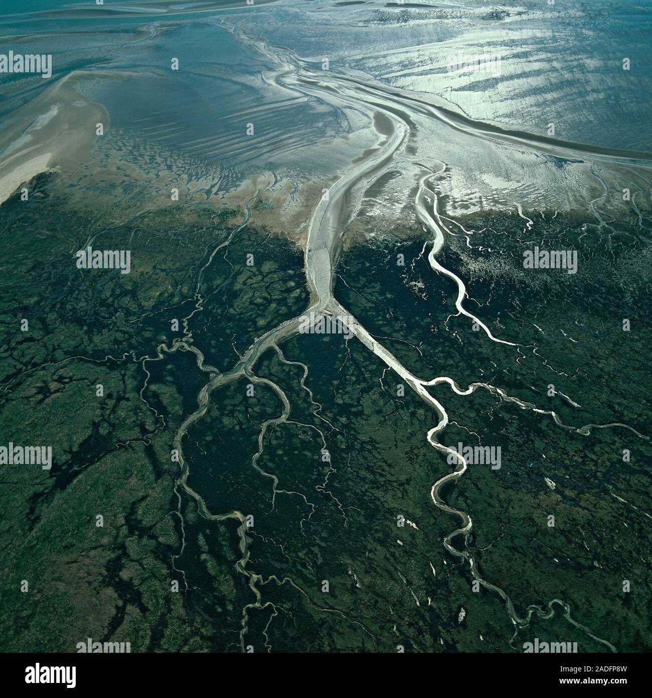 Una palude. Vista aerea di una palude sull isola di Mellum tedeschi nel ...