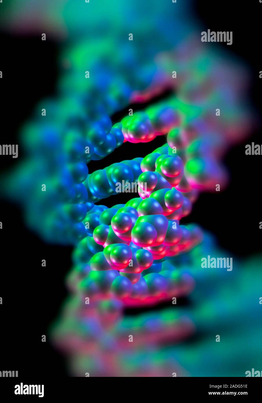 La doppia elica del DNA struttura. Computer grafica della struttura ...