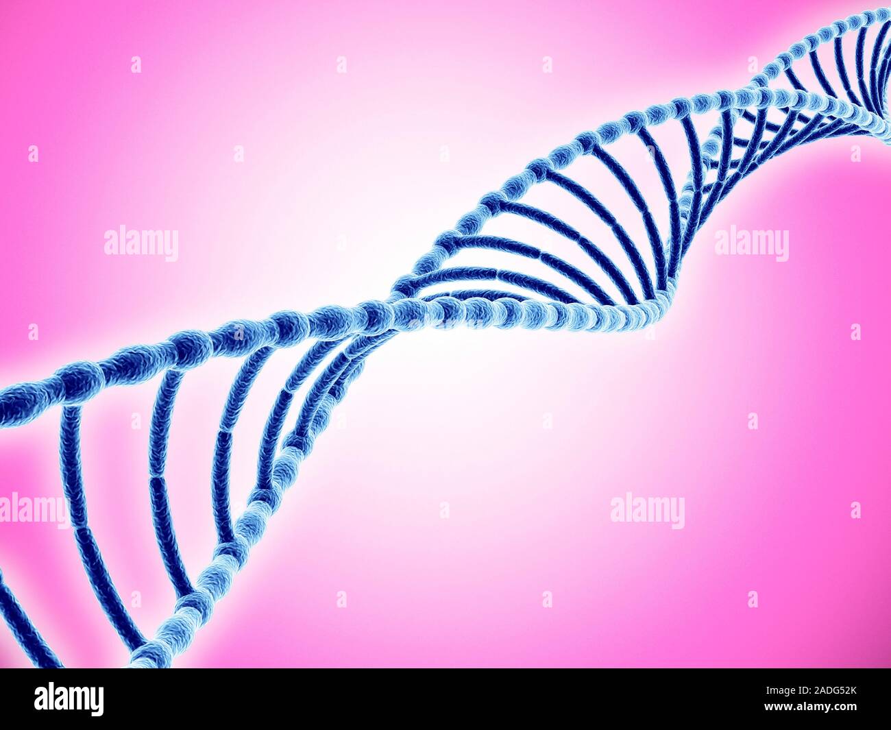 Elica di DNA. Computer grafica della doppia elica del DNA (acido ...