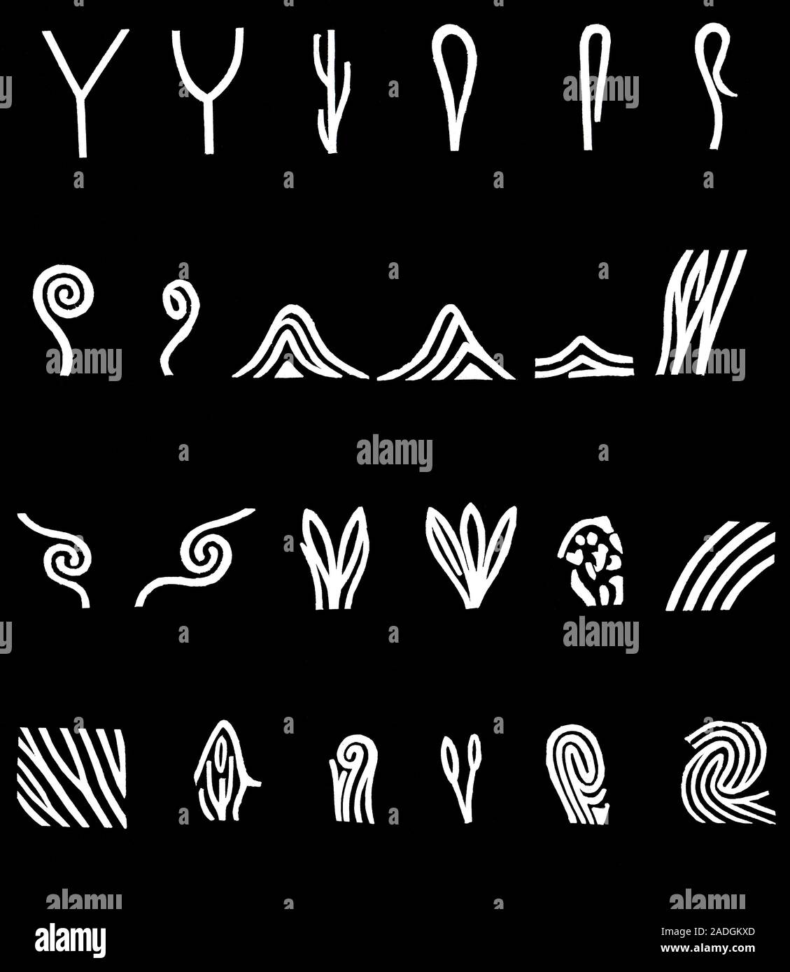 Caratteristiche delle impronte digitali, illustrazioni colorate dal Dr ...