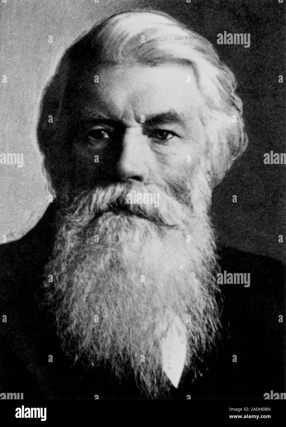 Joseph Swan. Ritratto di Sir Joseph Wilson Swan (1828-1914), British ...