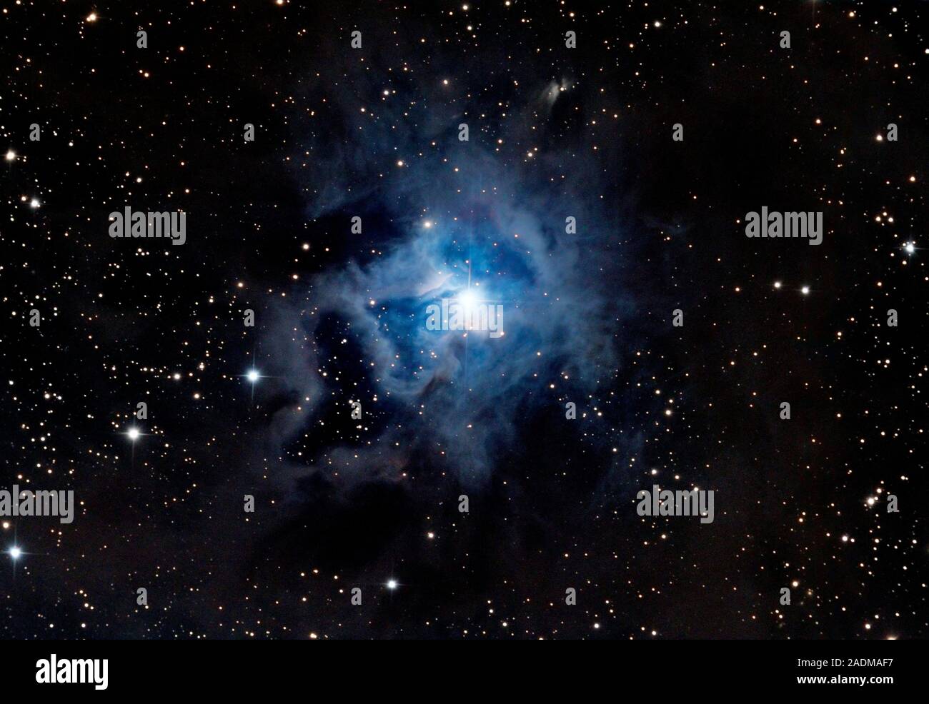 Iris nebula (NGC 7023), immagine ottica. Questa è una nebulosa a ...