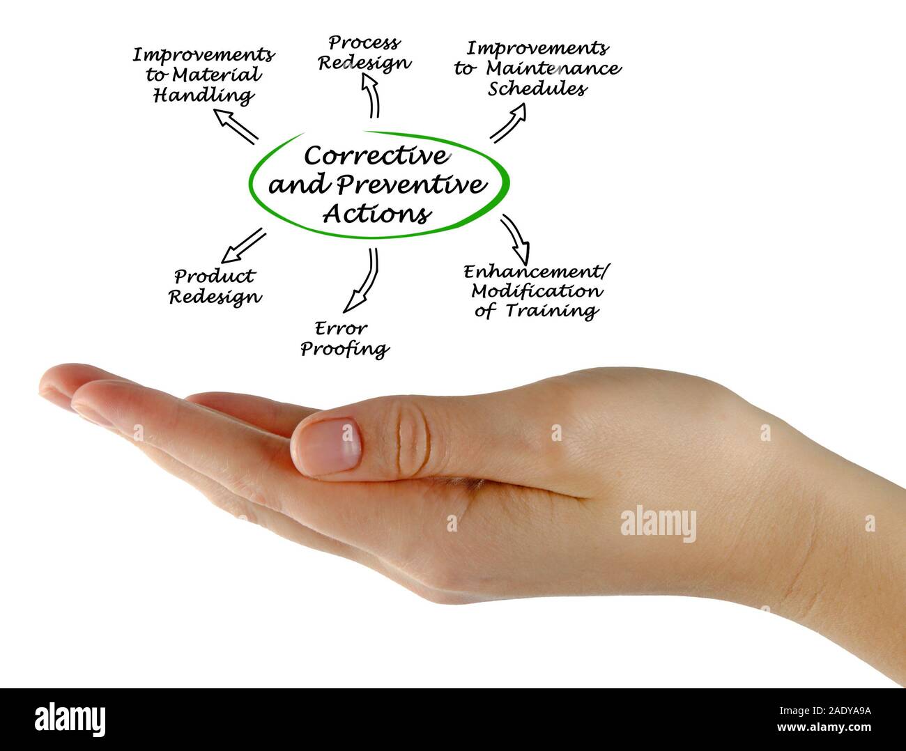 Formato Del Rapporto Sulle Azioni Correttive