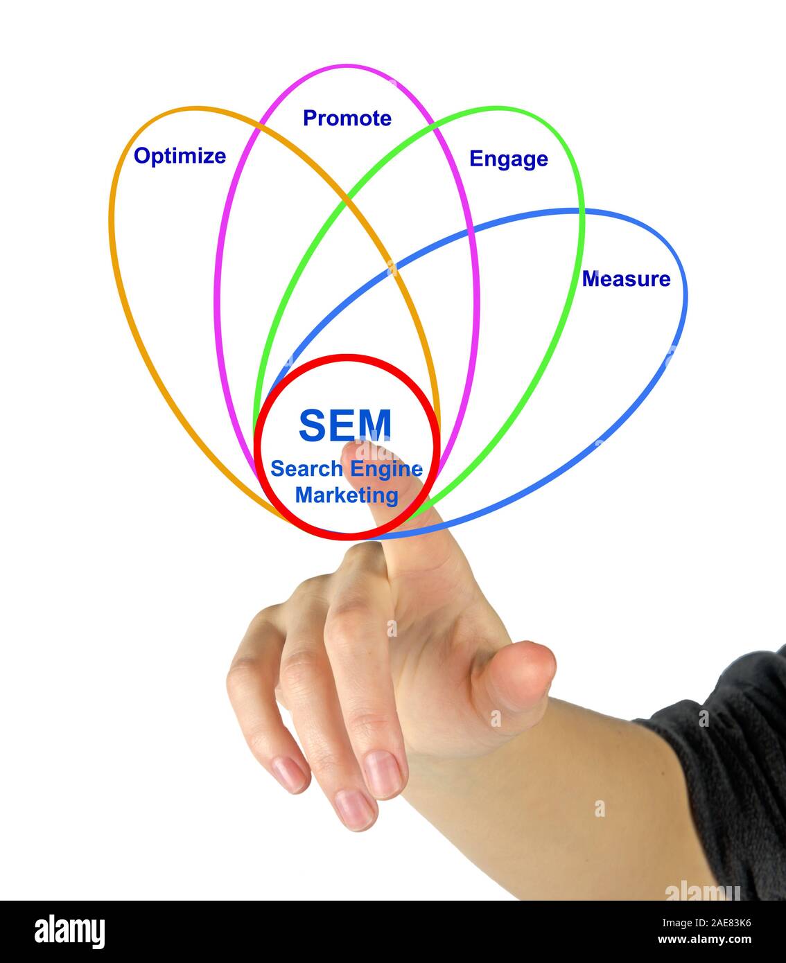 Diagramma a ragno immagini e fotografie stock ad alta risoluzione - Alamy
