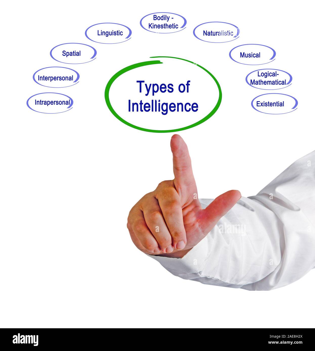 Intelligenza linguistica immagini e fotografie stock ad alta ...