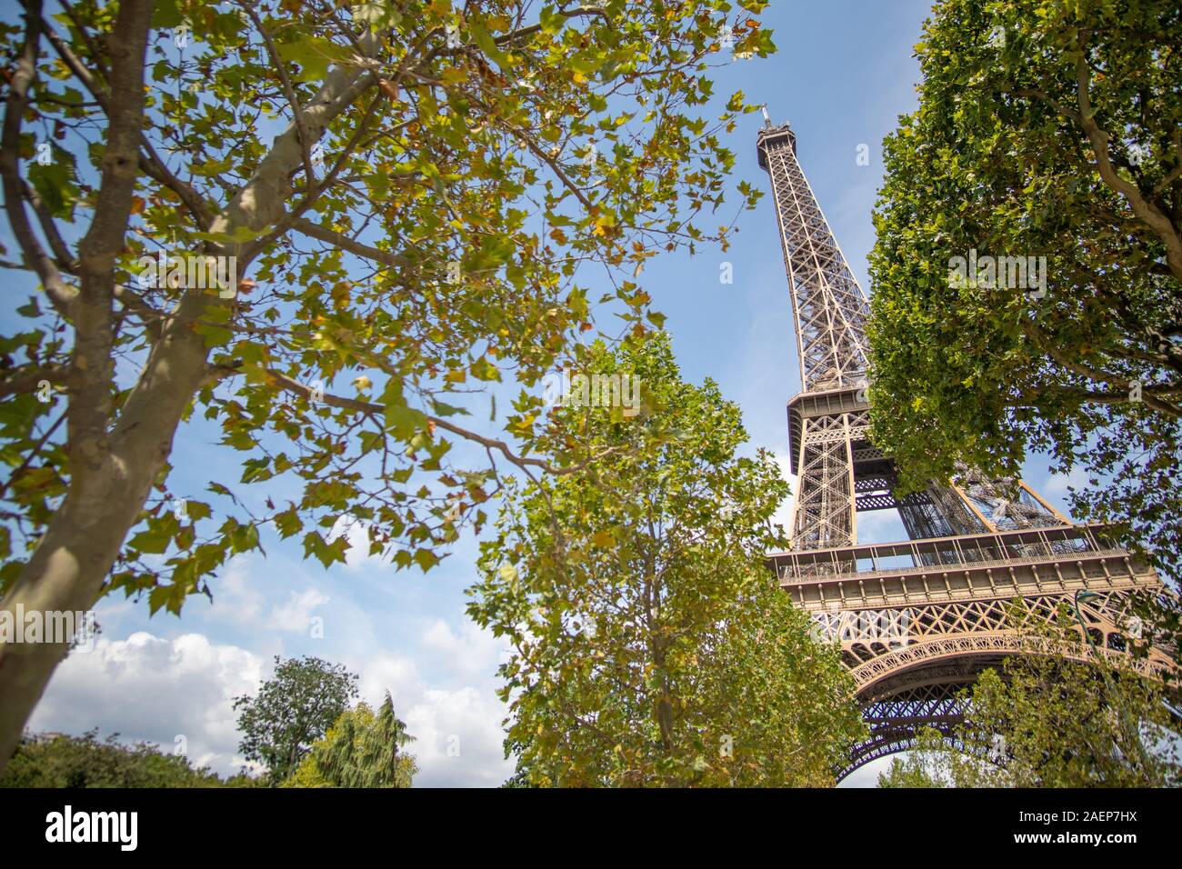 Torre di osservazione della struttura eiffel immagini e fotografie ...