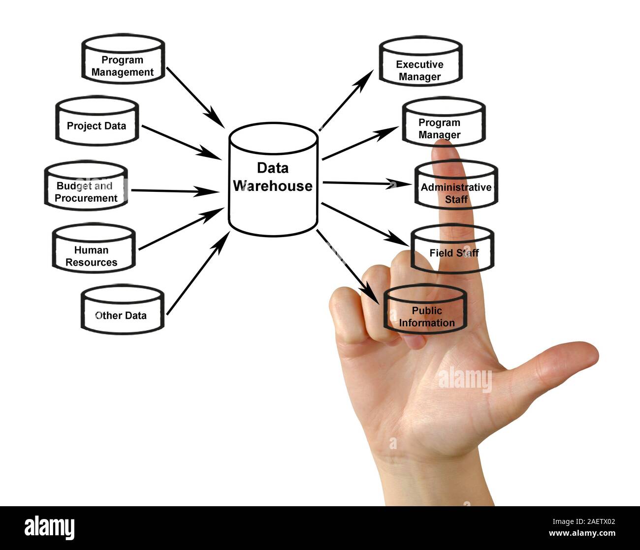 Software per le risorse umane Immagini senza sfondo e Foto Stock ...