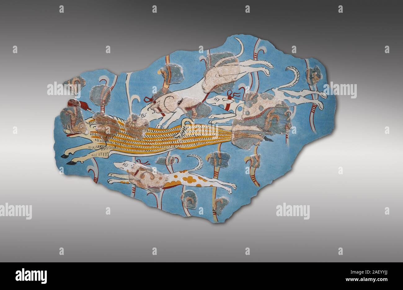 Affresco micenea pittura murale di un cinghiale caccia dalla tirinto ...