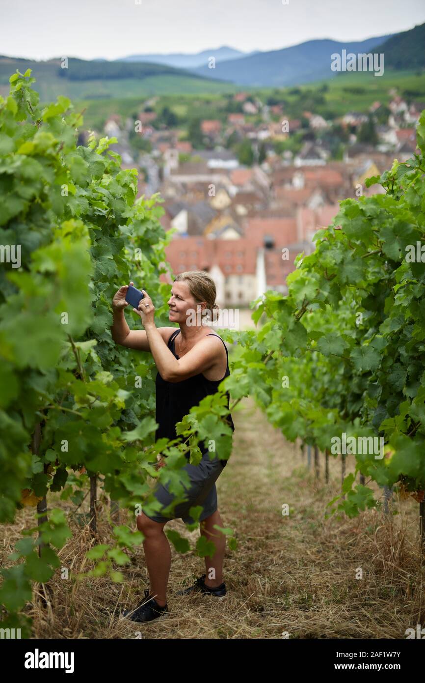 Scena della vigna immagini e fotografie stock ad alta risoluzione - Alamy