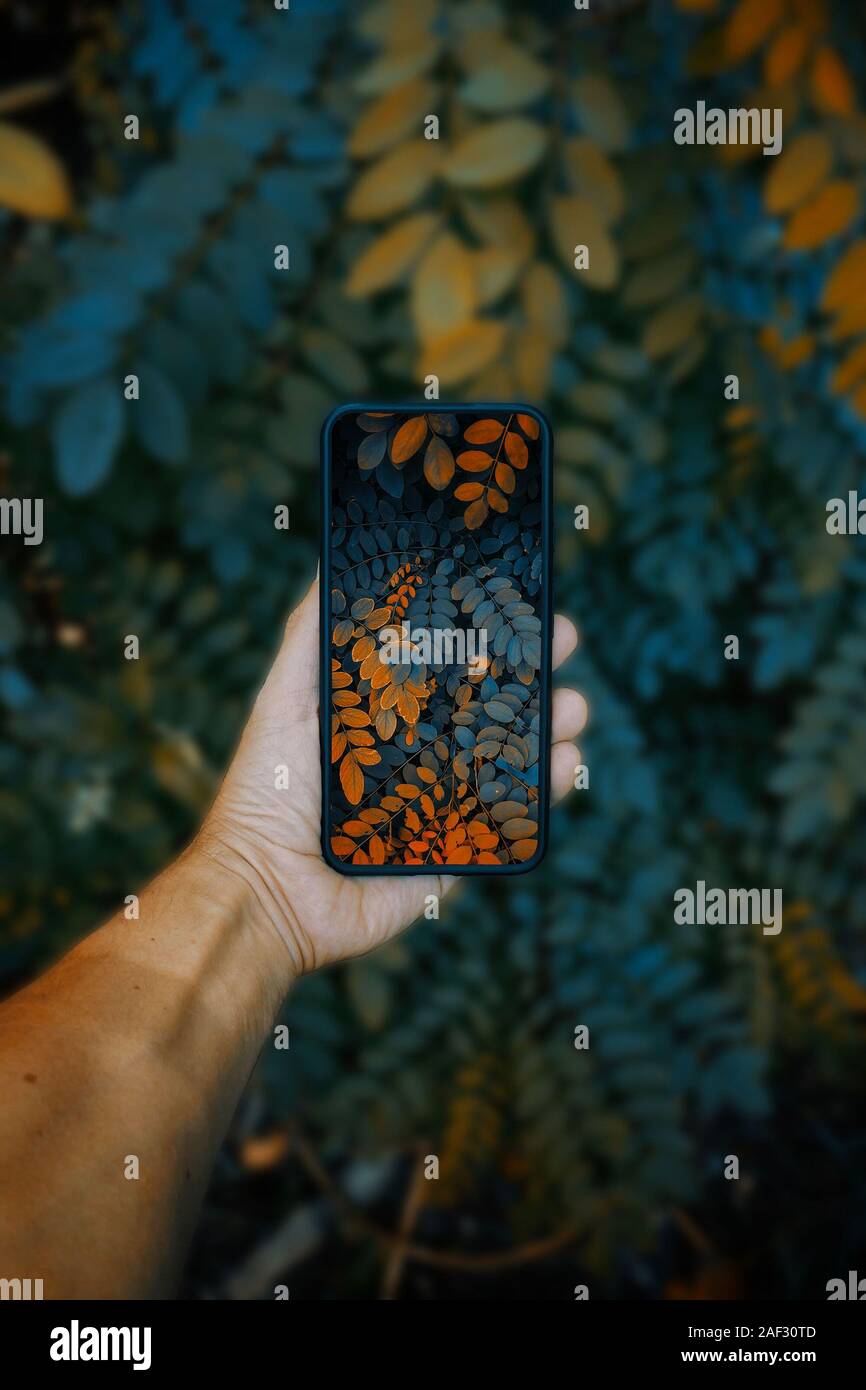 Telefono in mano immagini e fotografie stock ad alta risoluzione - Alamy