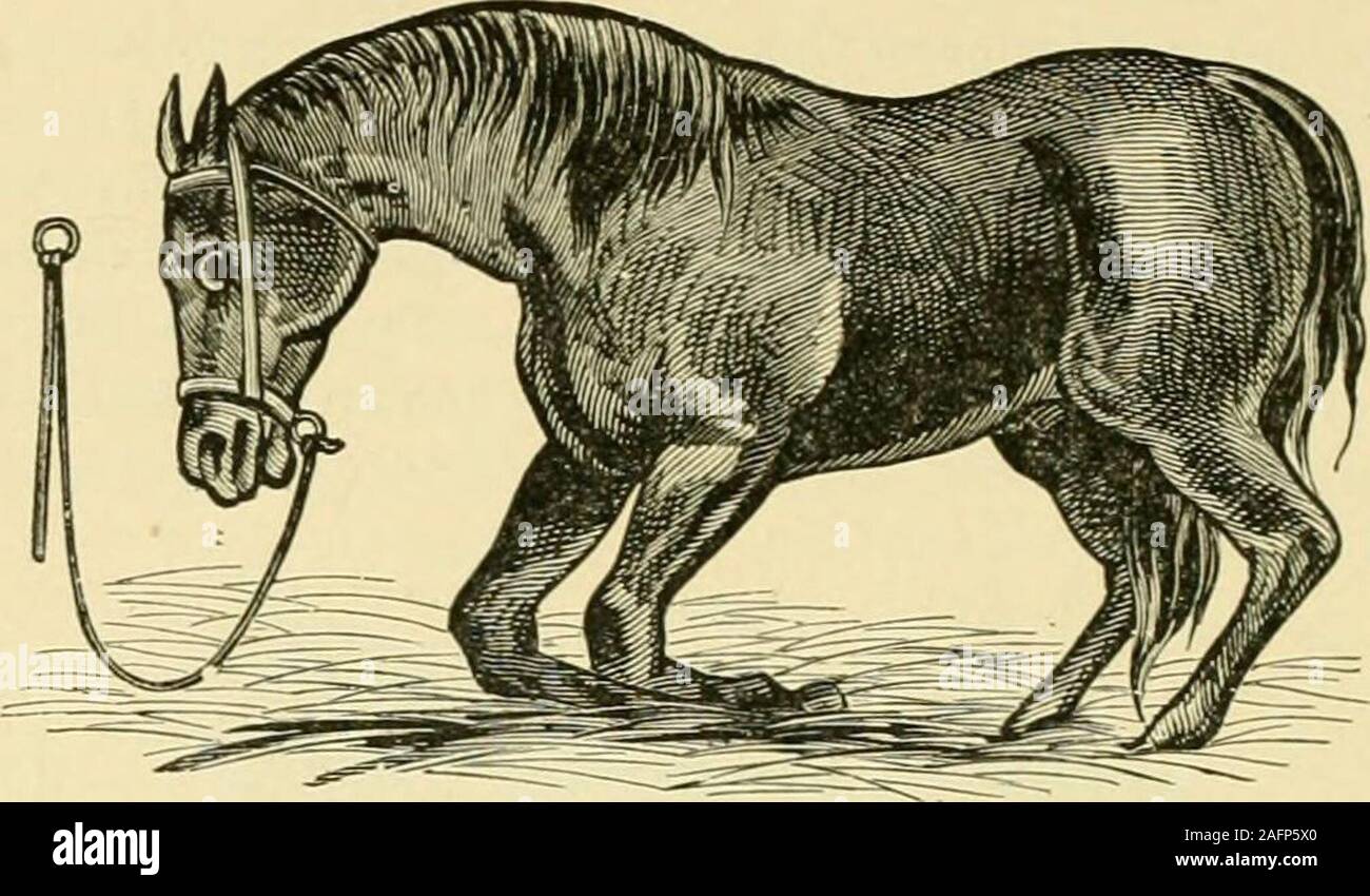 Causando coliche immagini e fotografie stock ad alta risoluzione - Alamy