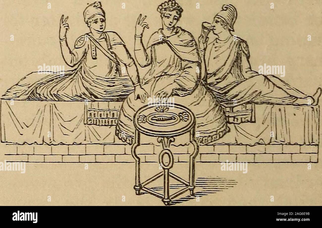 . Il compagno illustrato al dizionario Latino e Greco lessico; formare ...