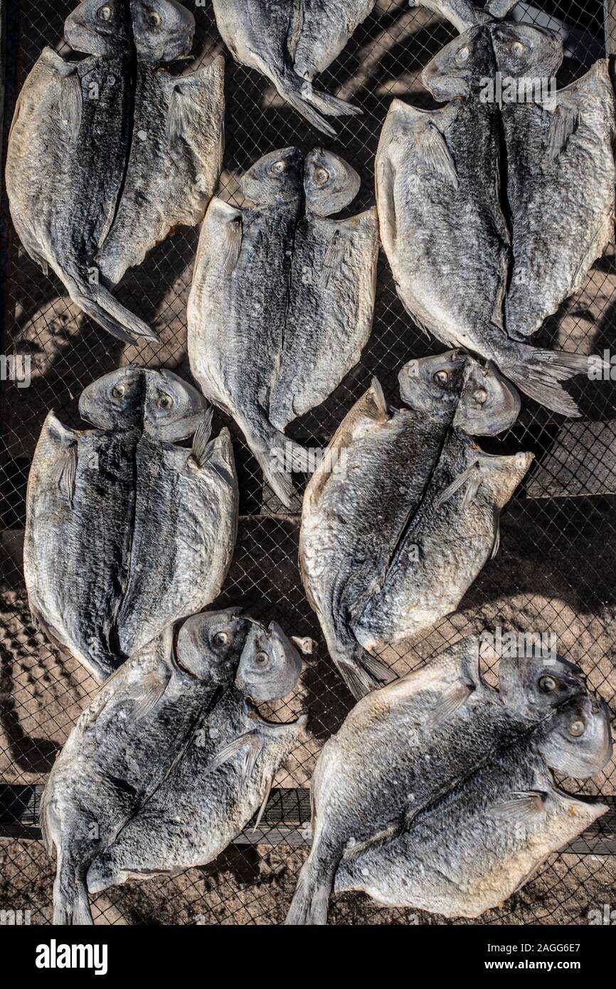 Pesce essiccato al sole immagini e fotografie stock ad alta risoluzione ...