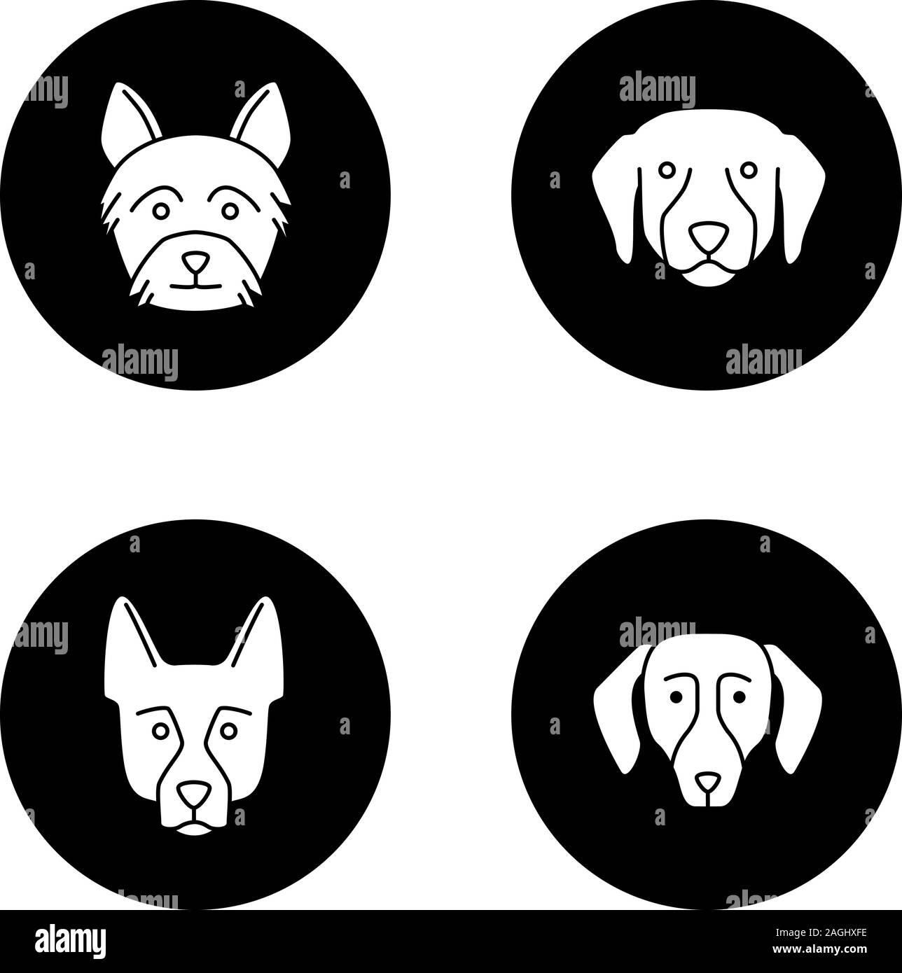 Razze di cani glifo set di icone. Yorkshire Terrier, Labrador Retriever ...