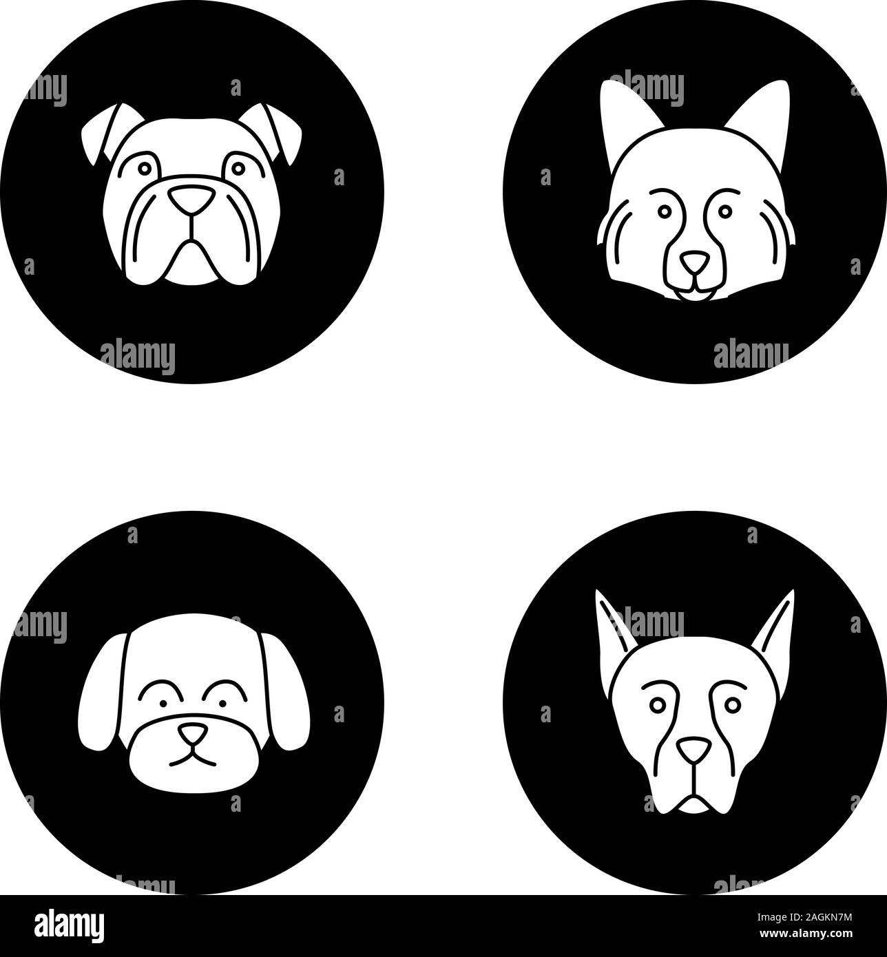 Razze di cani glifo set di icone. Bulldog inglese, Spitz tedesco ...