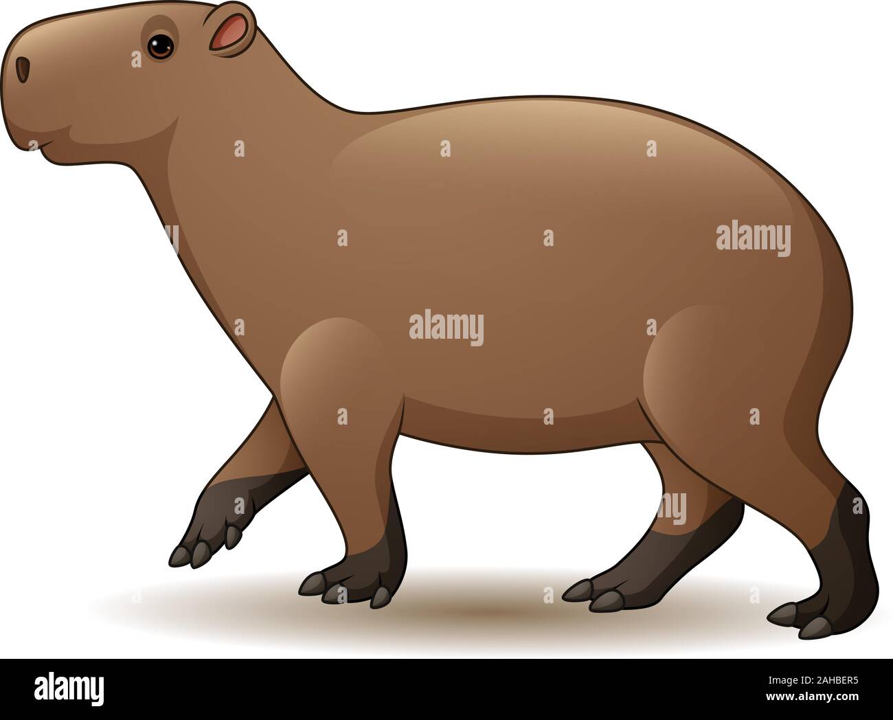 Sud america e capibara Immagini Vettoriali Stock - Alamy