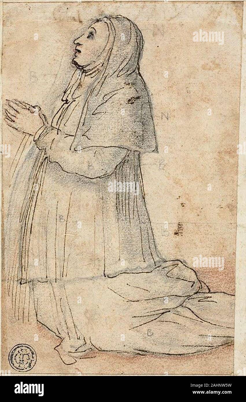 Penna e inchiostro marrone con gesso rosso e grafite immagini e ...