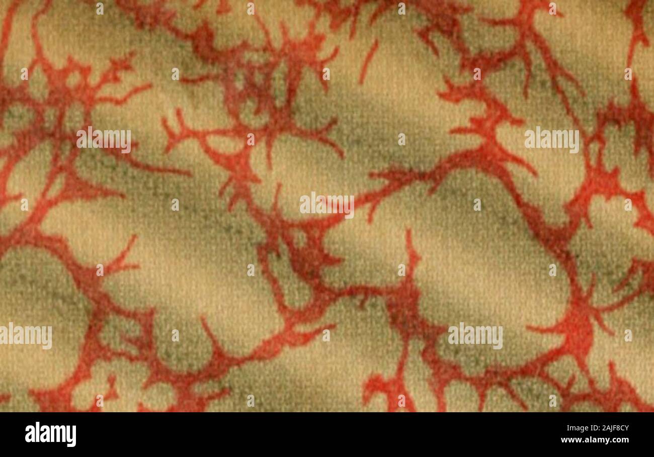 Histoire de la Jacquerie d'après des documenti inediti . promoteur de ...