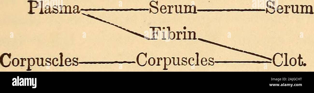 Grossi coaguli di sangue immagini e fotografie stock ad alta ...